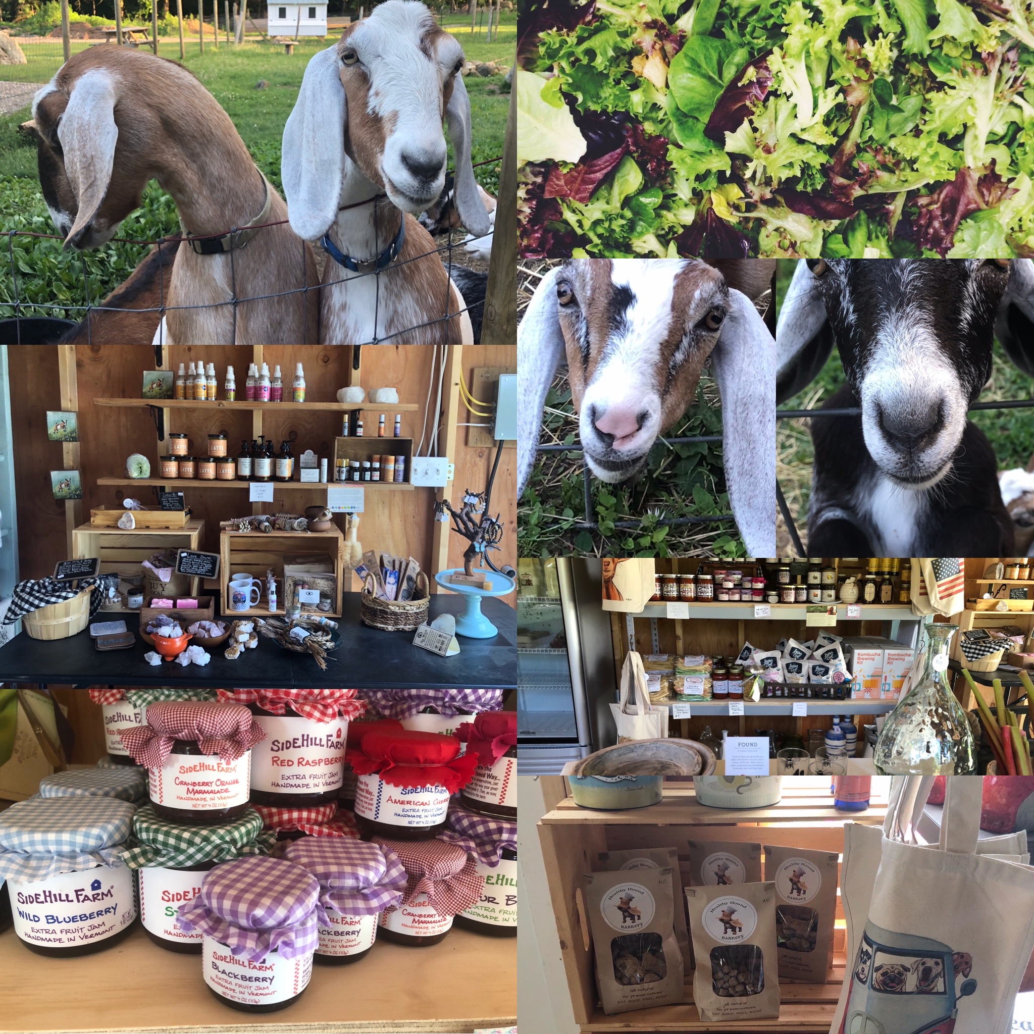 Boho Farm | Visit CT