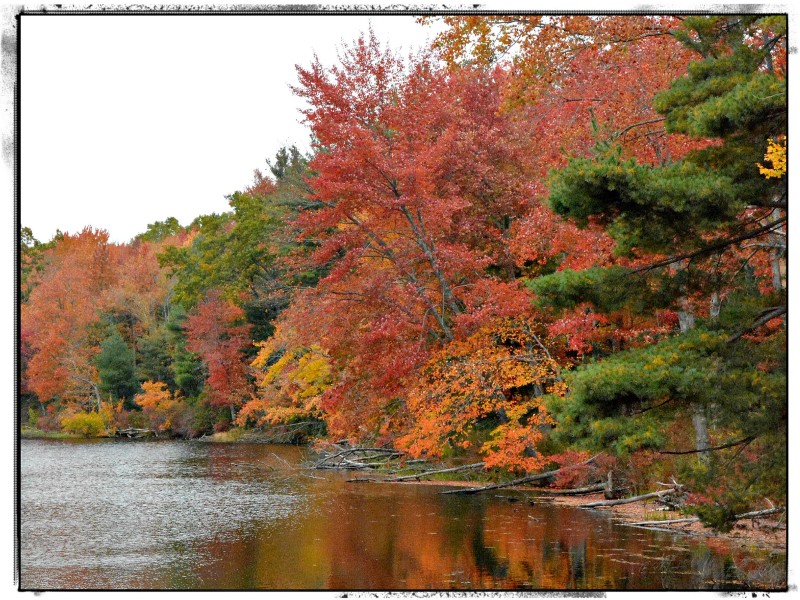 Town of Stafford | Visit CT