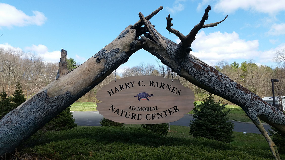H.C. Barnes Memorial Nature Center | Visit CT