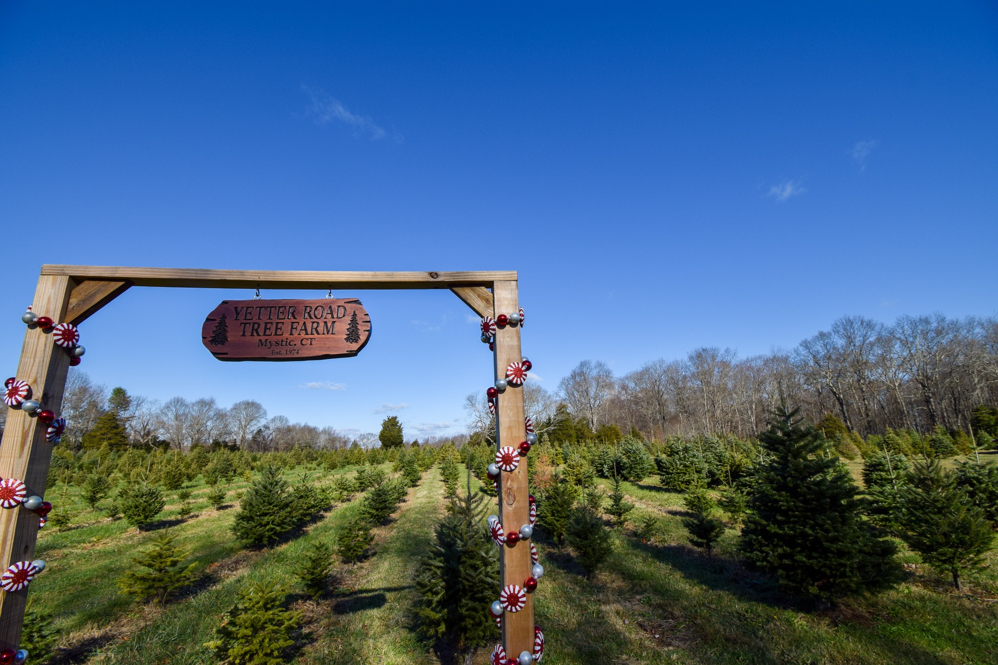 How to Have a Hallmark Holiday in Mystic, CT | CTvisit