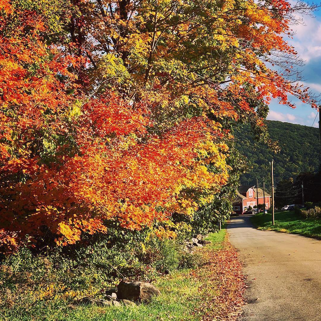 Town of Washington | Visit CT