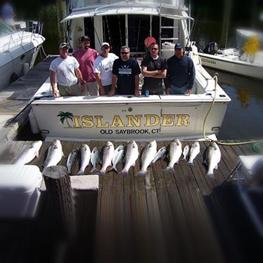 Islander Sport Fishing Charters | Visit CT