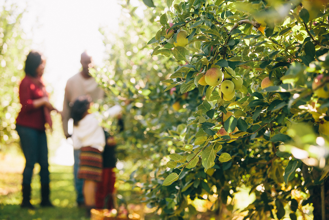 Silverman's Farm | Visit CT