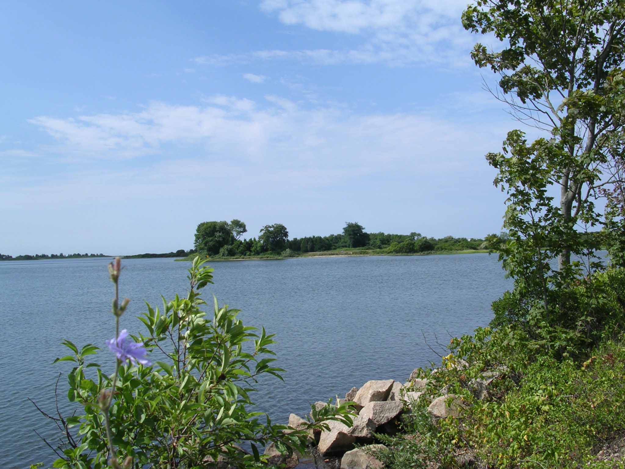 Bluff Point Coastal Reserve | Visit CT