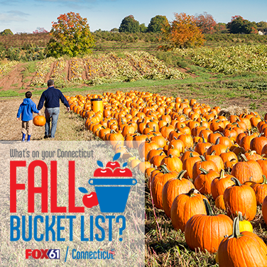 Fall Bucket List | Visit CT