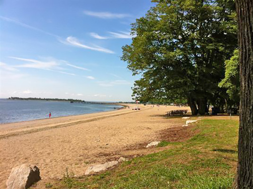 Calf Pasture & Shady Beach | Visit CT