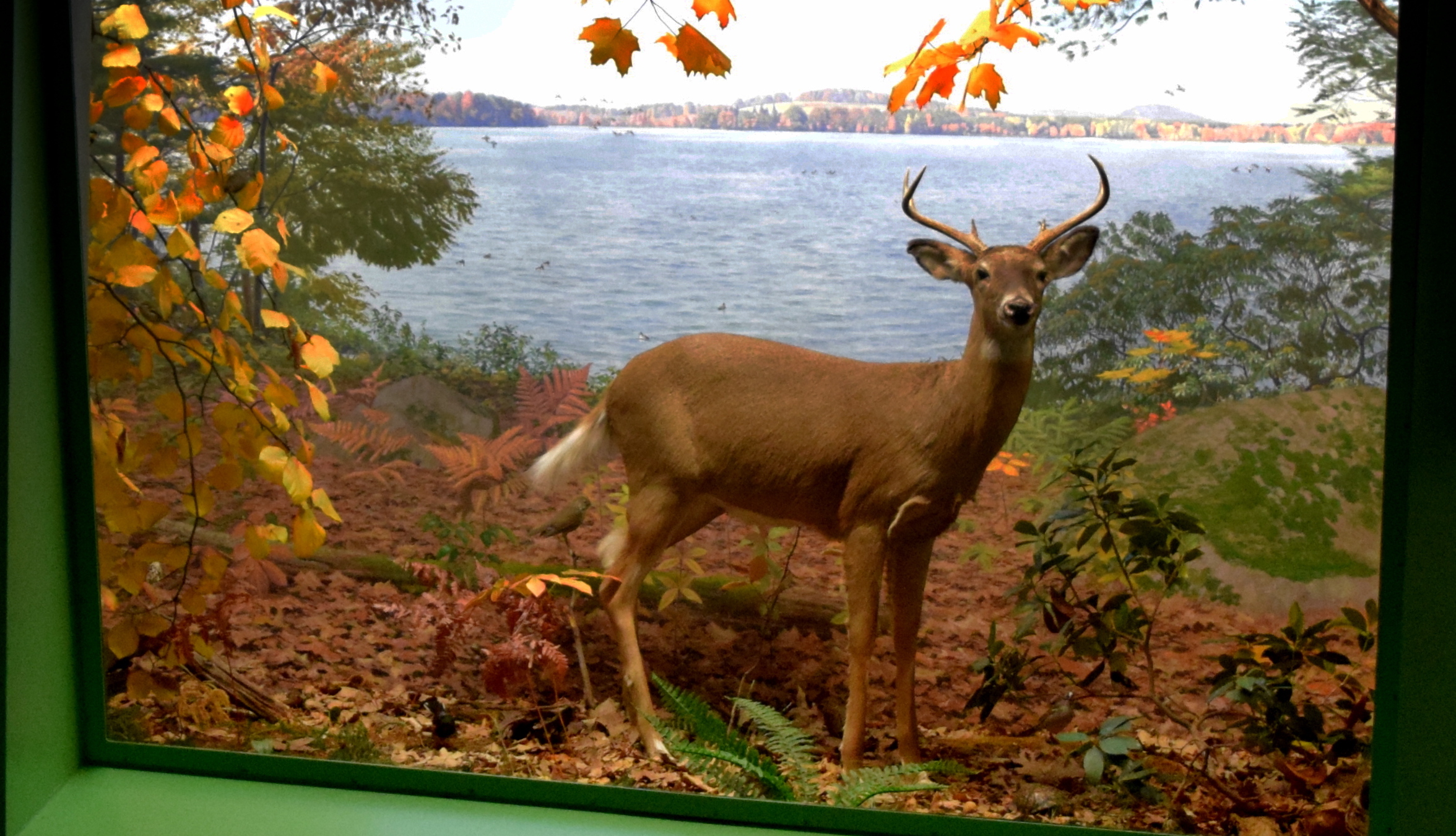 4 Of Western Connecticut’s Wonderful Museums | CTvisit