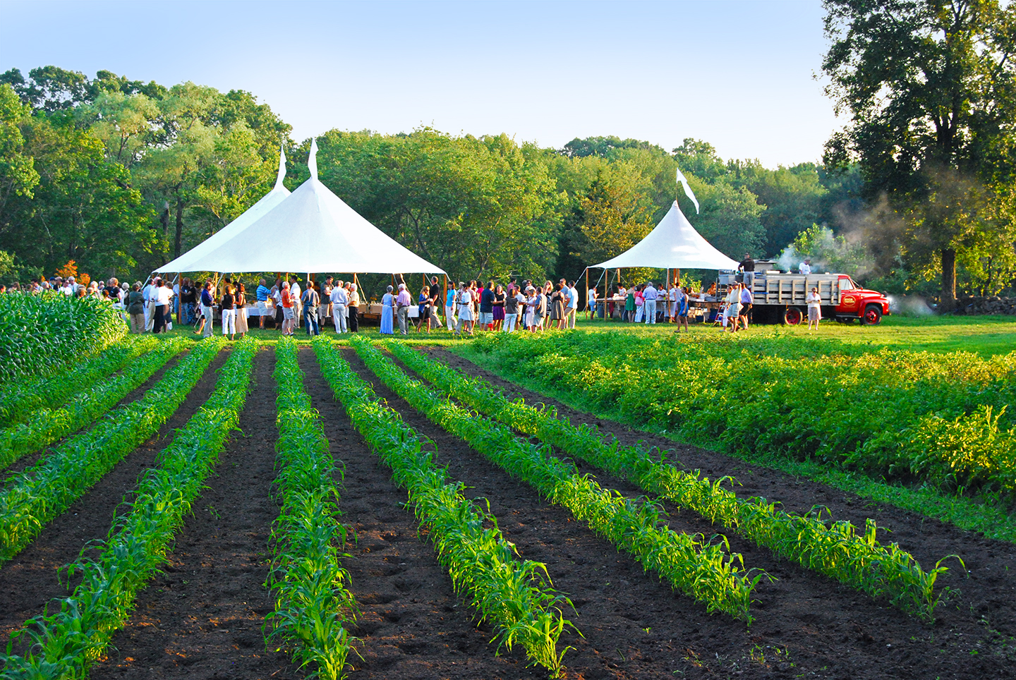 Farm To Table Dining In CT Visit CT Farm To Table Dining In CT Visit CT