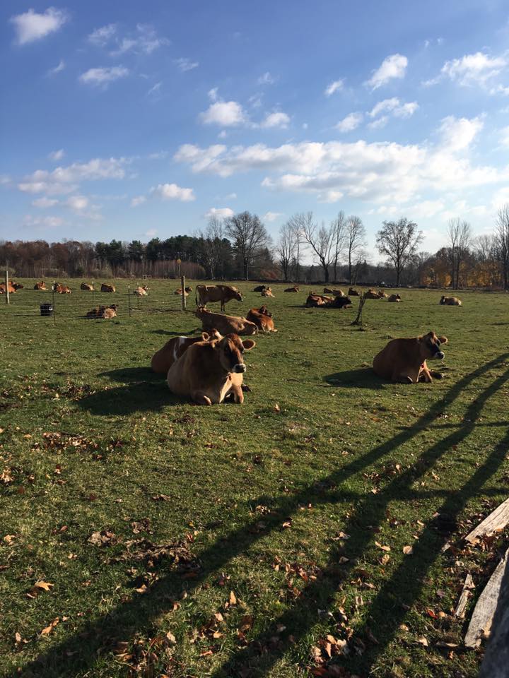 Town of Bolton | Visit CT