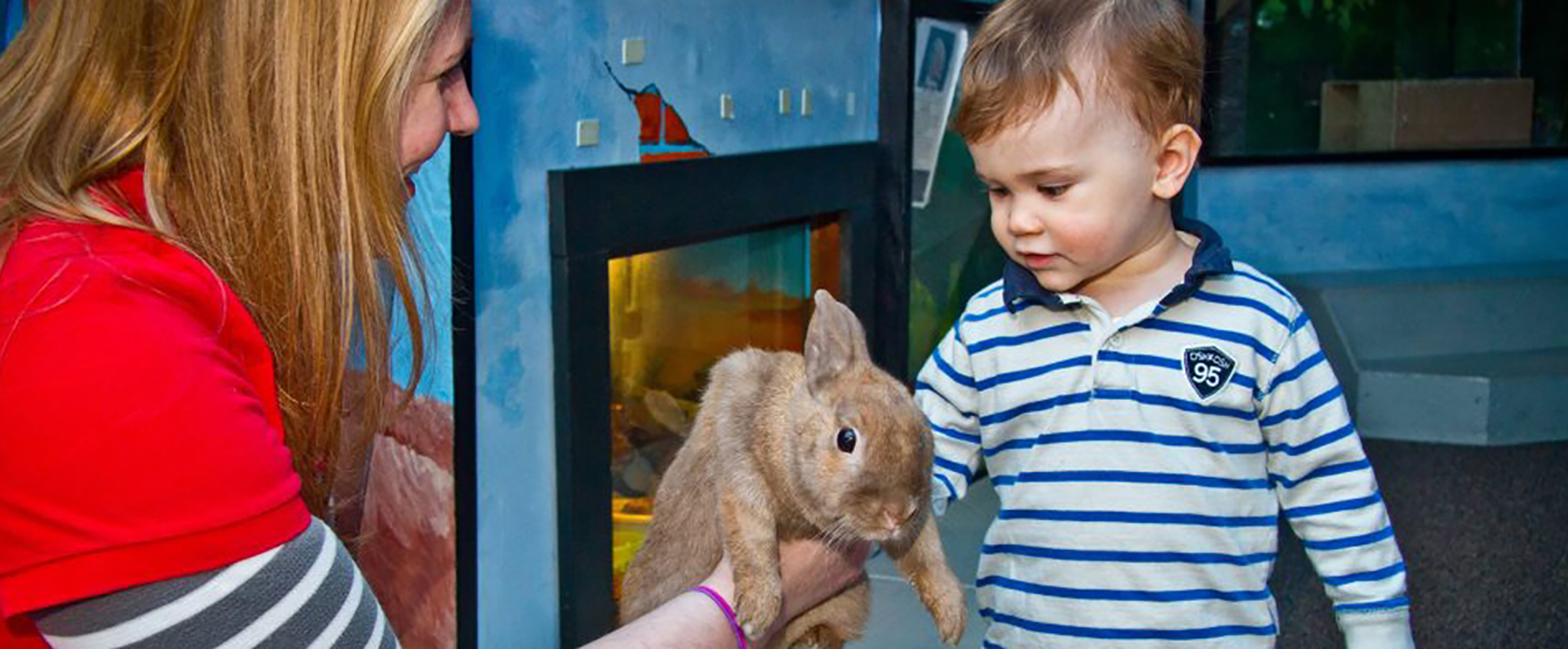 Kids Museums | Visit CT