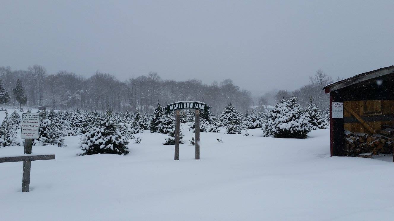 Maple Row Farm | Visit CT