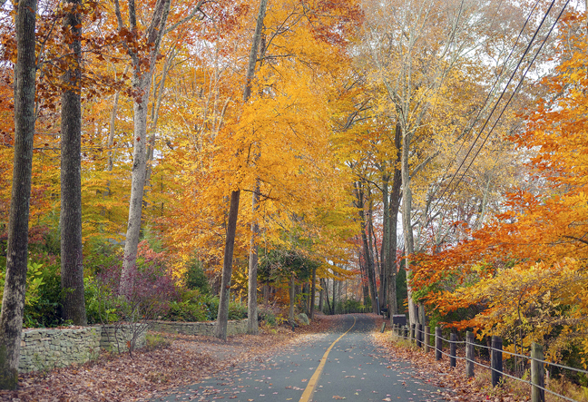 The Perfect New England Fall...is in Connecticut | Visit CT