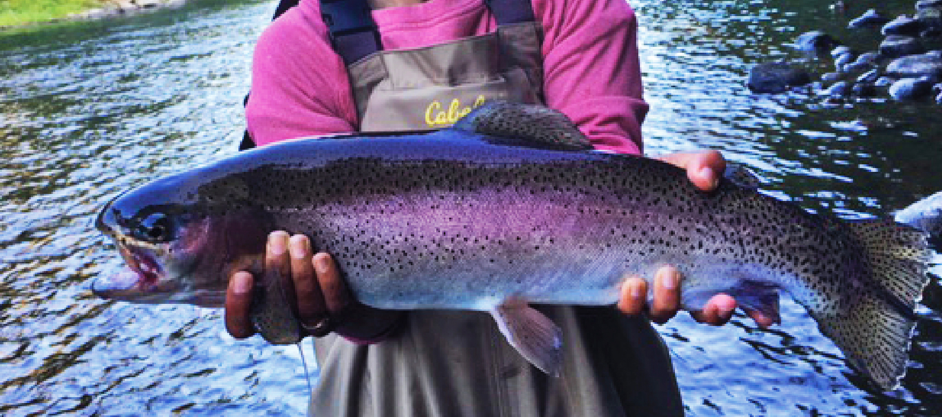 The Great Connecticut Outdoors | CTvisit