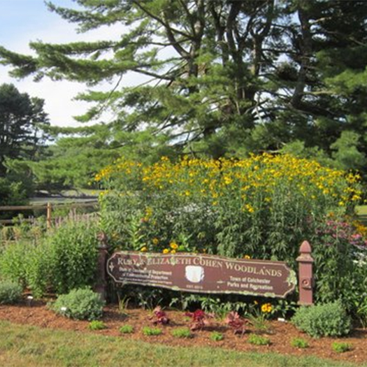 Ruby and Elizabeth Cohen Woodlands | Visit CT