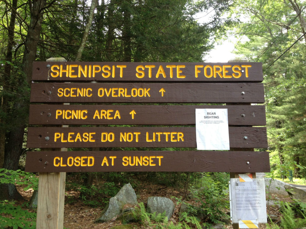 Shenipsit State Forest | Visit CT