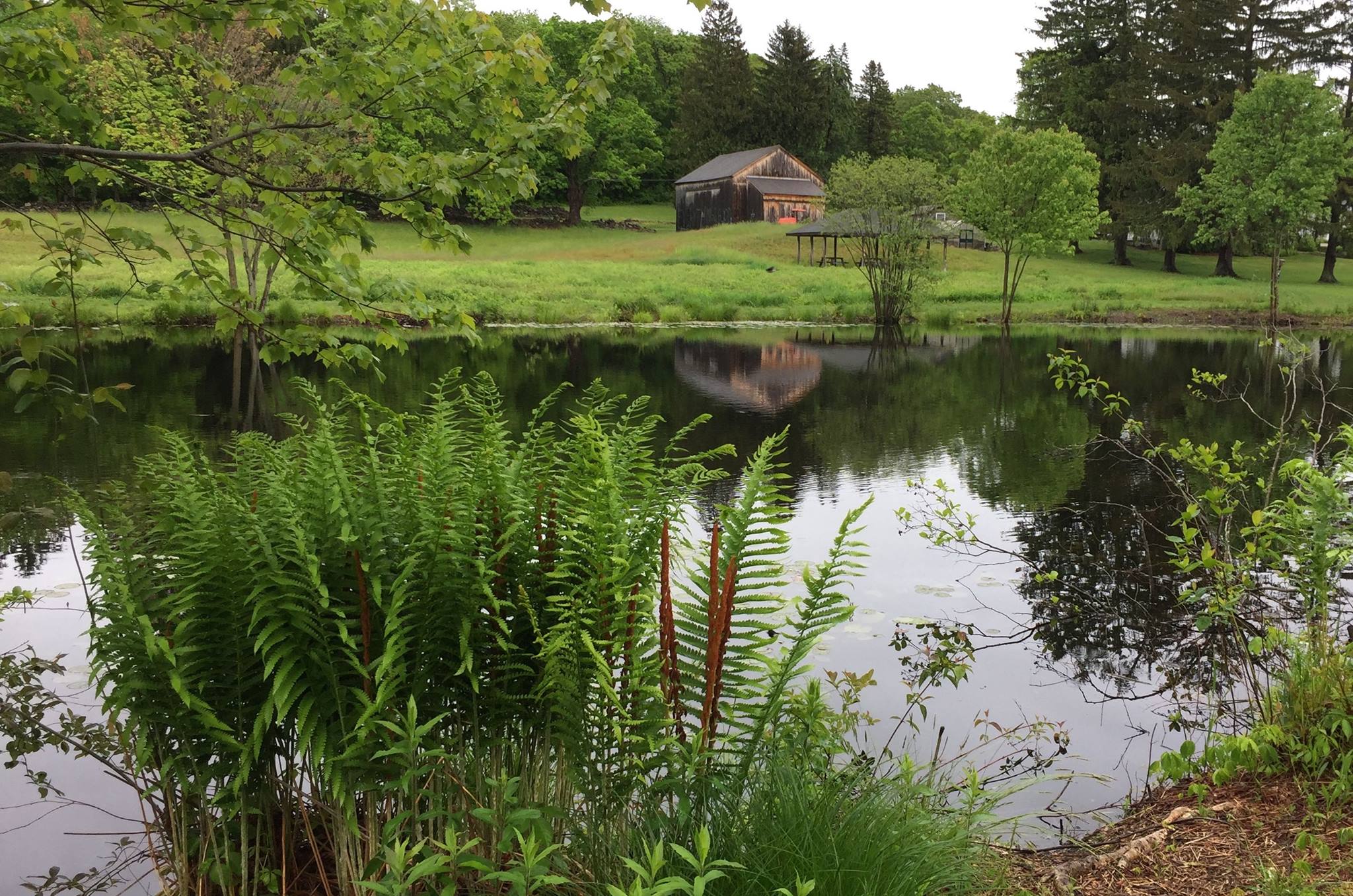 Bauer Park Trails | Visit CT