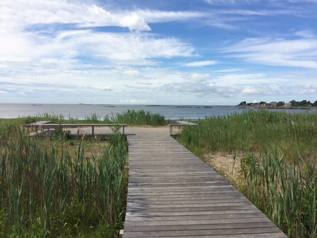 Jacob's Beach | Visit CT