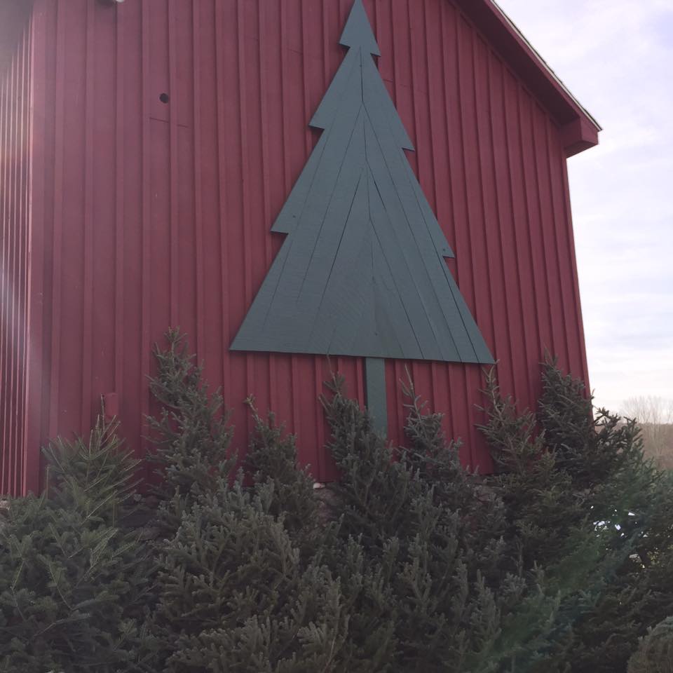 Reneson's Christmas Tree Farm | Visit CT