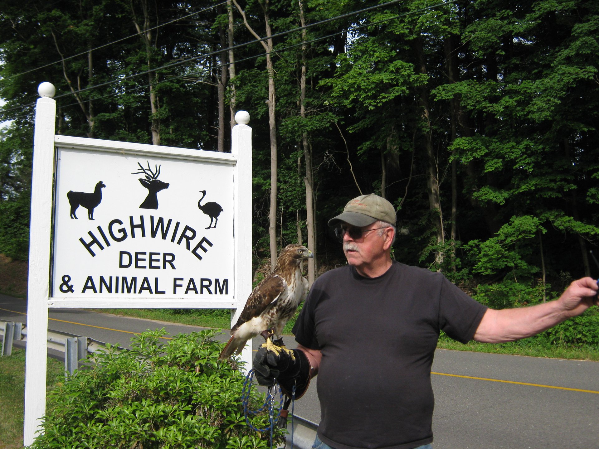 Highwire Deer & Animal Farm | Visit CT