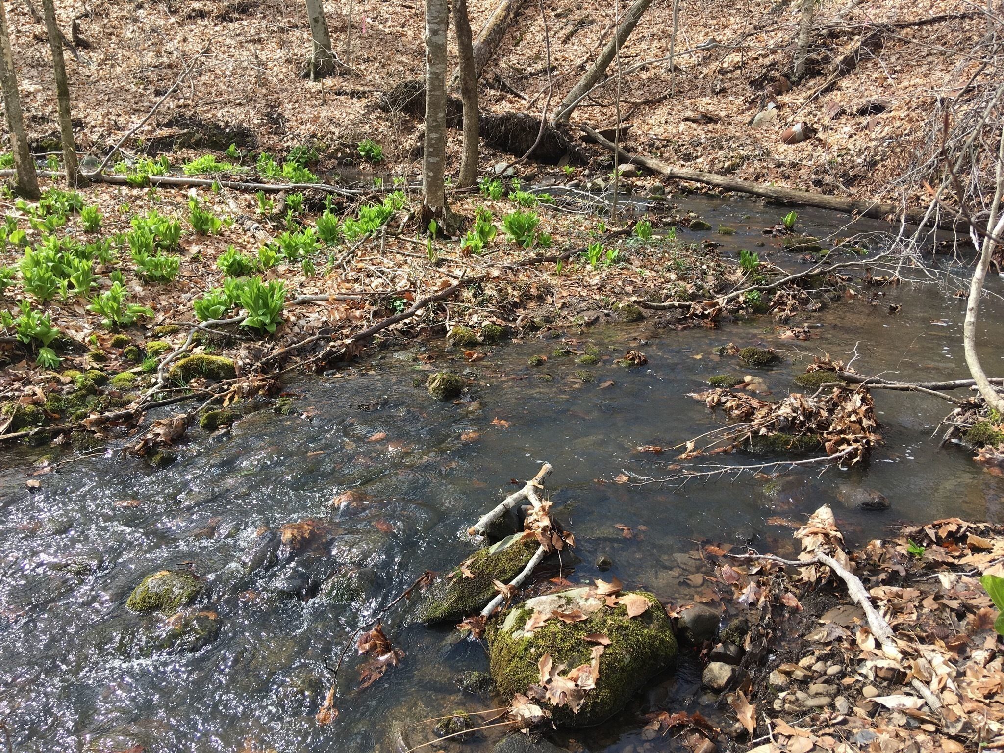 Bittner Park | Visit CT