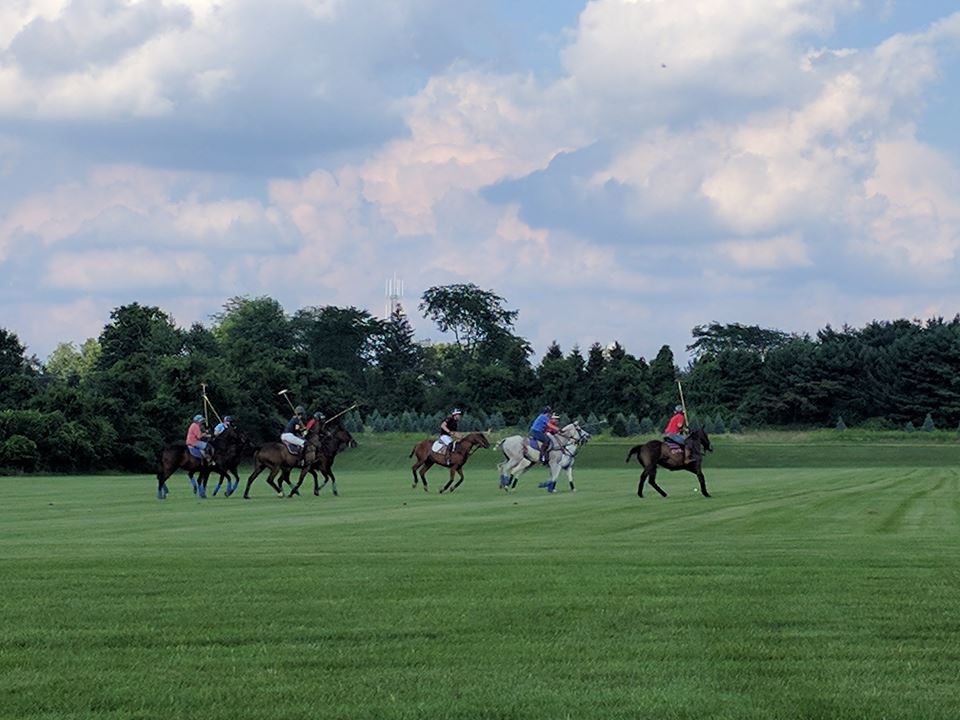 Field View Farm | Visit CT