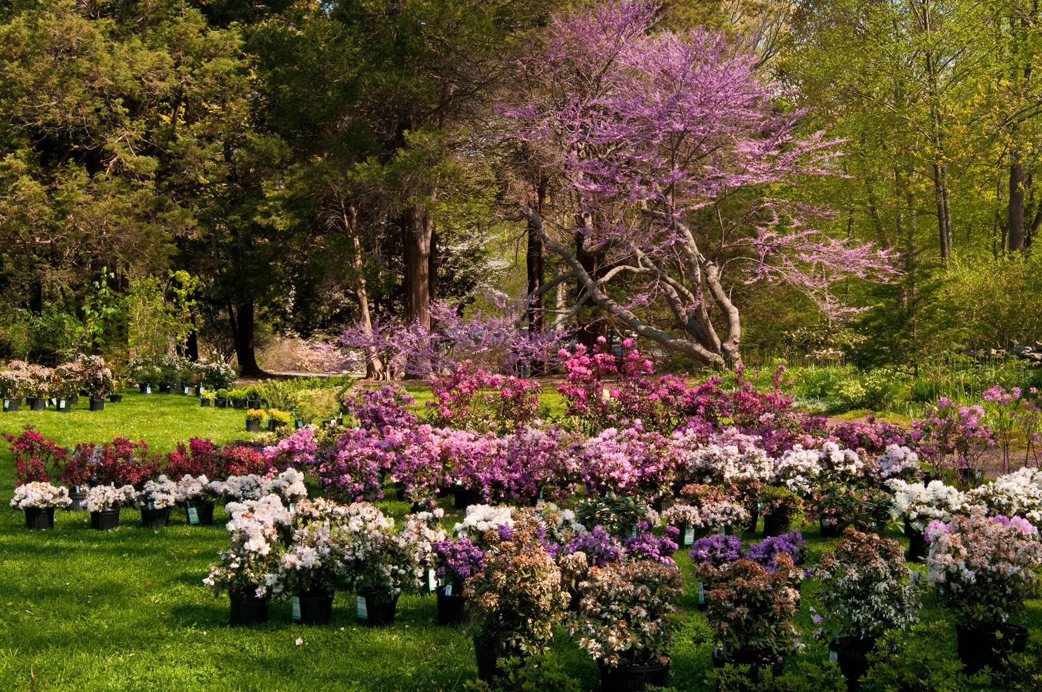 Top 10 Spring Things to Do in Fairfield County | Visit CT