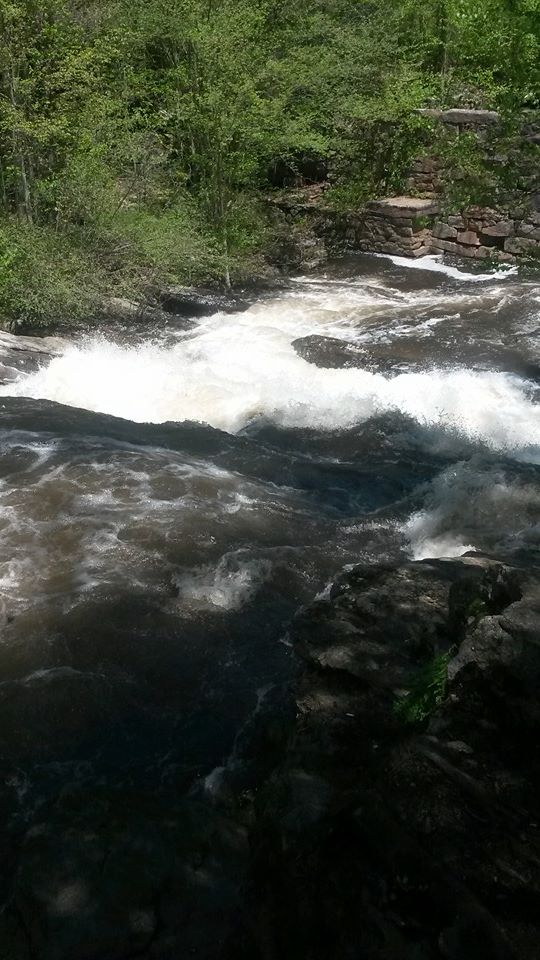 Higganum Reservoir State Park | Visit CT