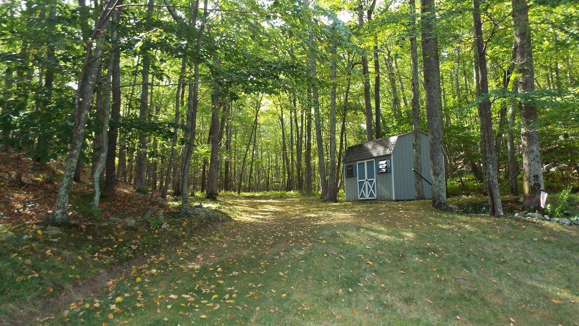 Nehantic State Forest | Visit CT