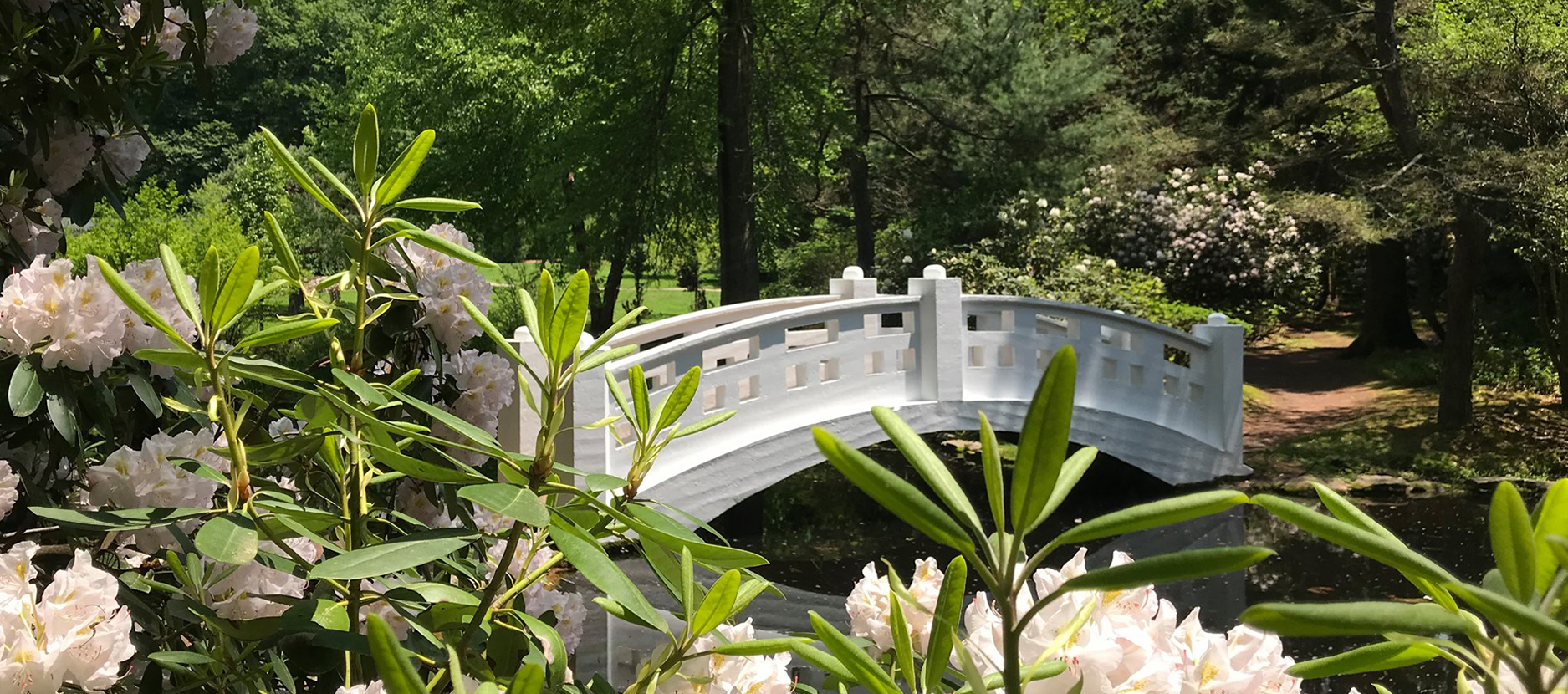 34 Things to Do in Central Connecticut this Spring | Visit CT