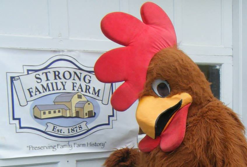 Strong Family Farm | Visit CT