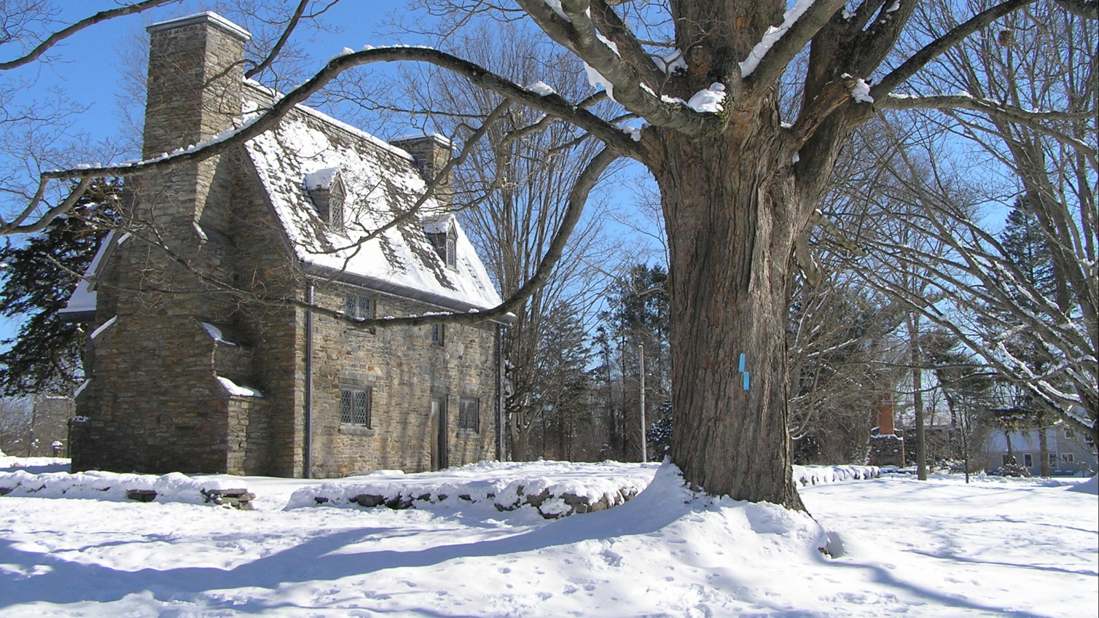 Henry Whitfield State Museum | CTvisit