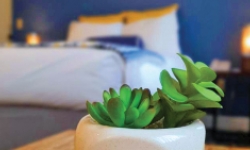 Sun Ridge Resort | CTvisit