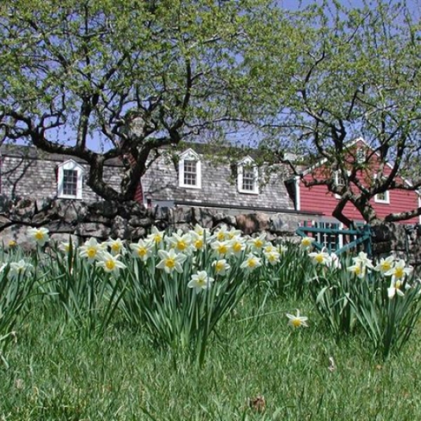 Weir Farm National Historic Site | CTvisit