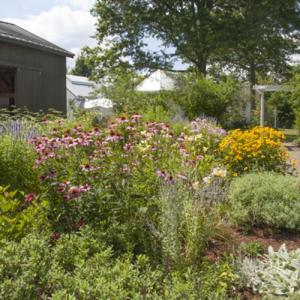 Essential Gardens to Visit in Connecticut | CTvisit