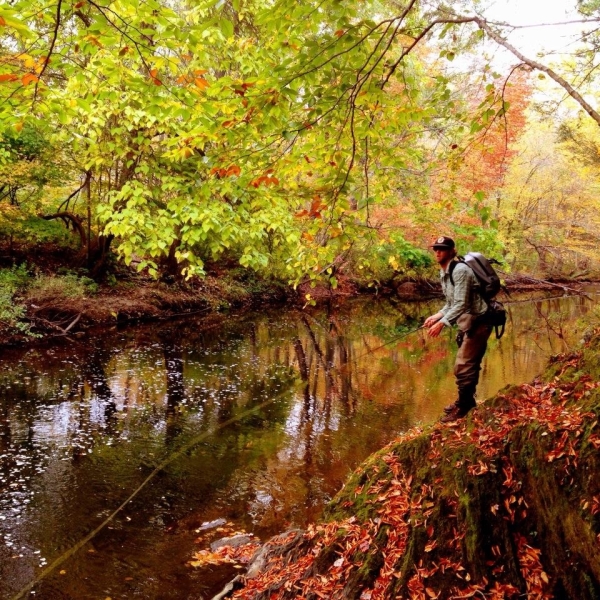 Go Fish in Connecticut | CTvisit