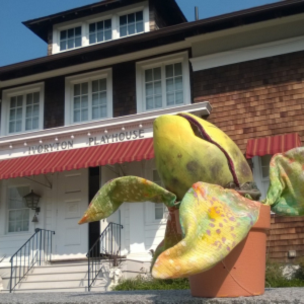 The Joys of Summer Theatre | CTvisit