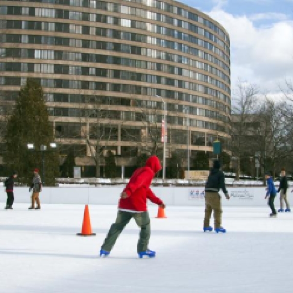 Frozen Fun | CTvisit