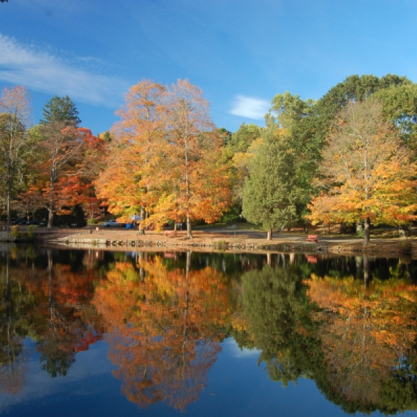 Connecticut Safari | CTvisit