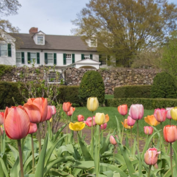 Essential Gardens to Visit in Connecticut | CTvisit