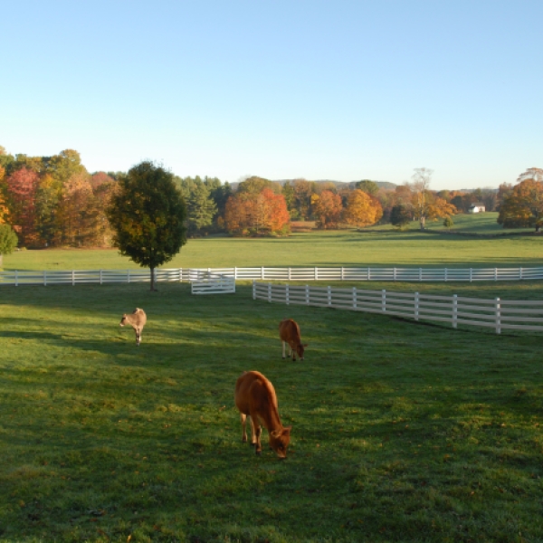 Town of Redding | CTvisit