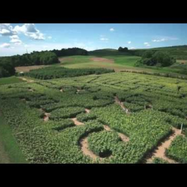 Lyman Orchards | CTvisit