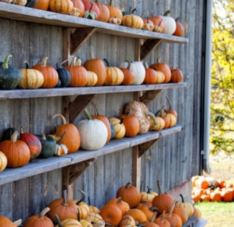 The Perfect New England Fall...is in Connecticut | CTvisit