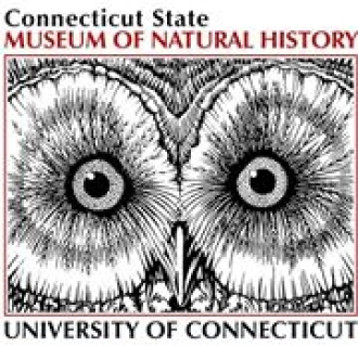 Curating Art, History and Fun at Connecticut’s Museums | CTvisit