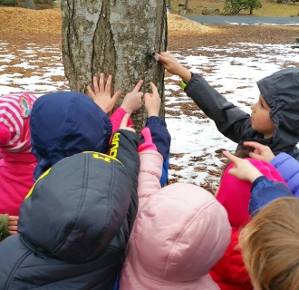 A Sweet Day Out – Maple Syrup Farms in Connecticut | CTvisit