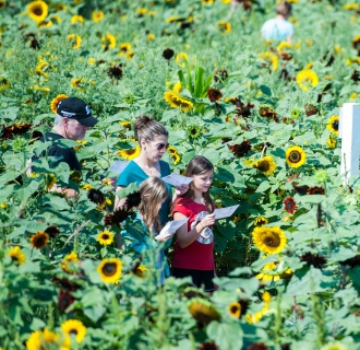 Connecticut's Summer Blossom Finder | CTvisit