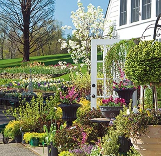 Connecticut's Spring Blossom Finder | CTvisit