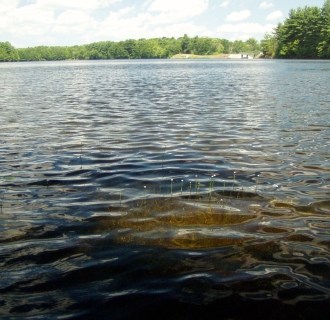 Connecticut’s Great Lakes | CTvisit