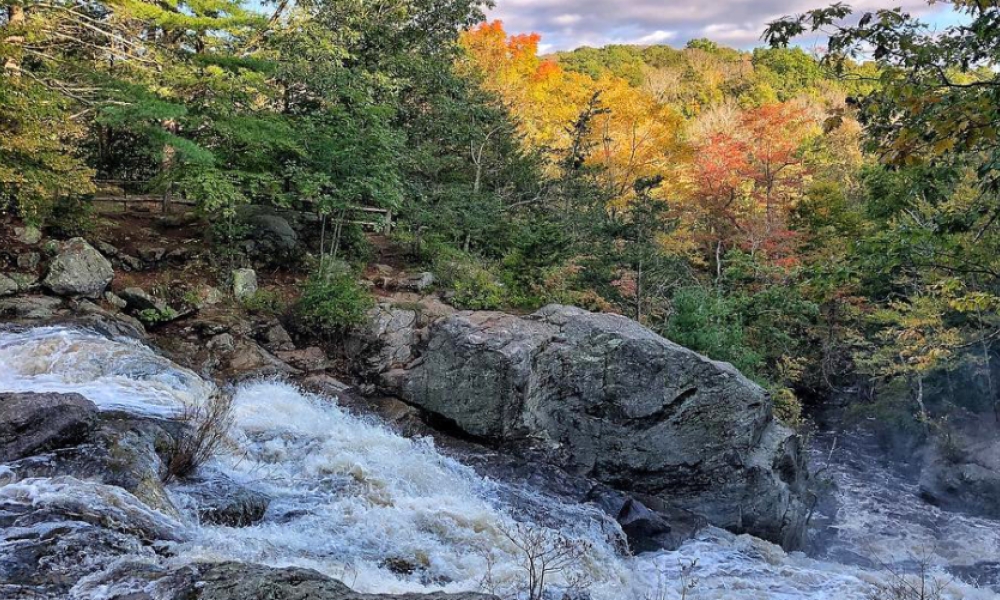 Savor the Best of Fall in Connecticut with These Leaf “Pairings” | CTvisit