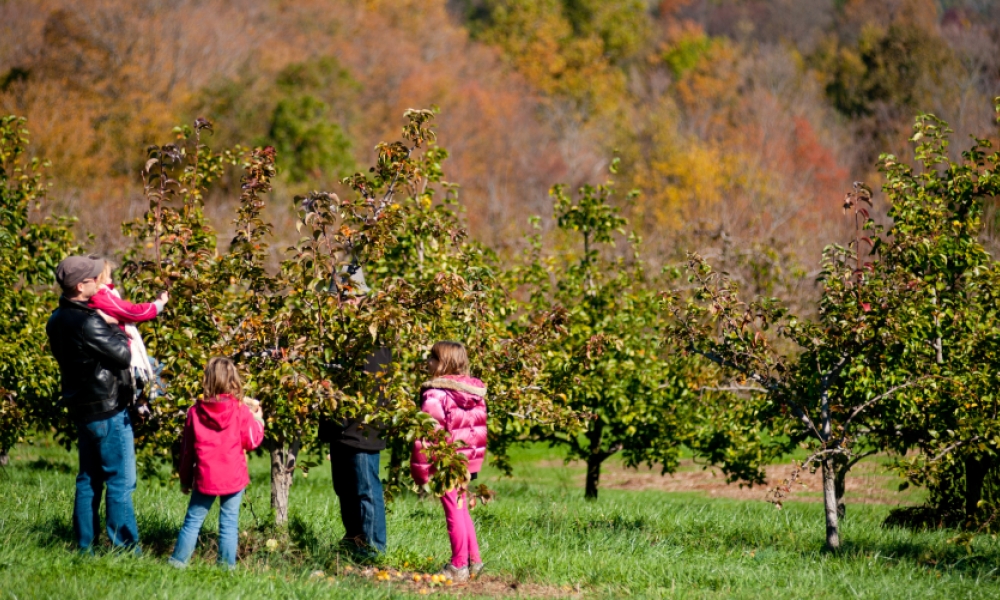 10 Fall Experiences You Just Can’t Have in the City | CTvisit