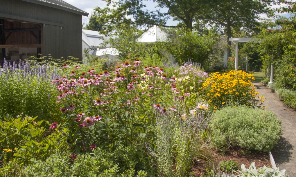Essential Gardens to Visit in Connecticut | CTvisit